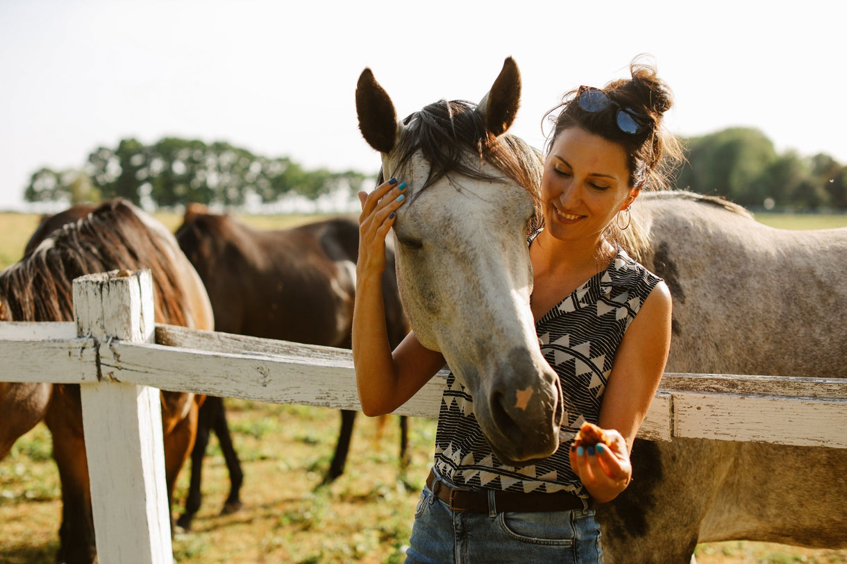 Colt Horse Care 101: Understanding the Basics of Rearing Young Equines ...