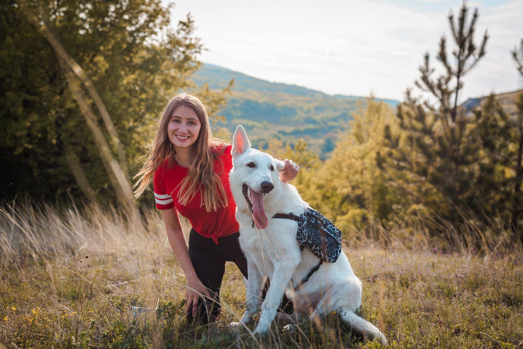 How to Choose a Natural Anti-Inflammatory for Dogs– Integricare