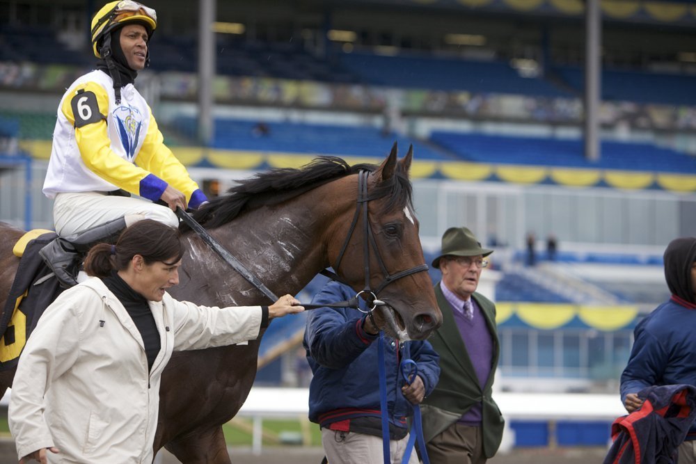 Equine Affiliates– Integricare