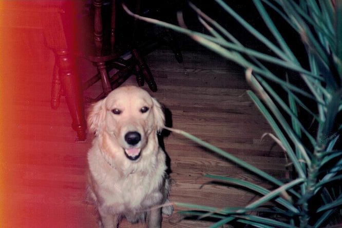 About– Integricare