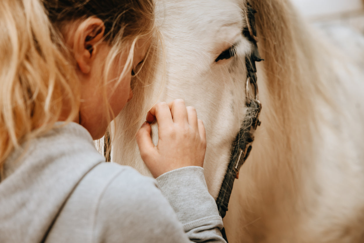 Resources for Equine– Integricare